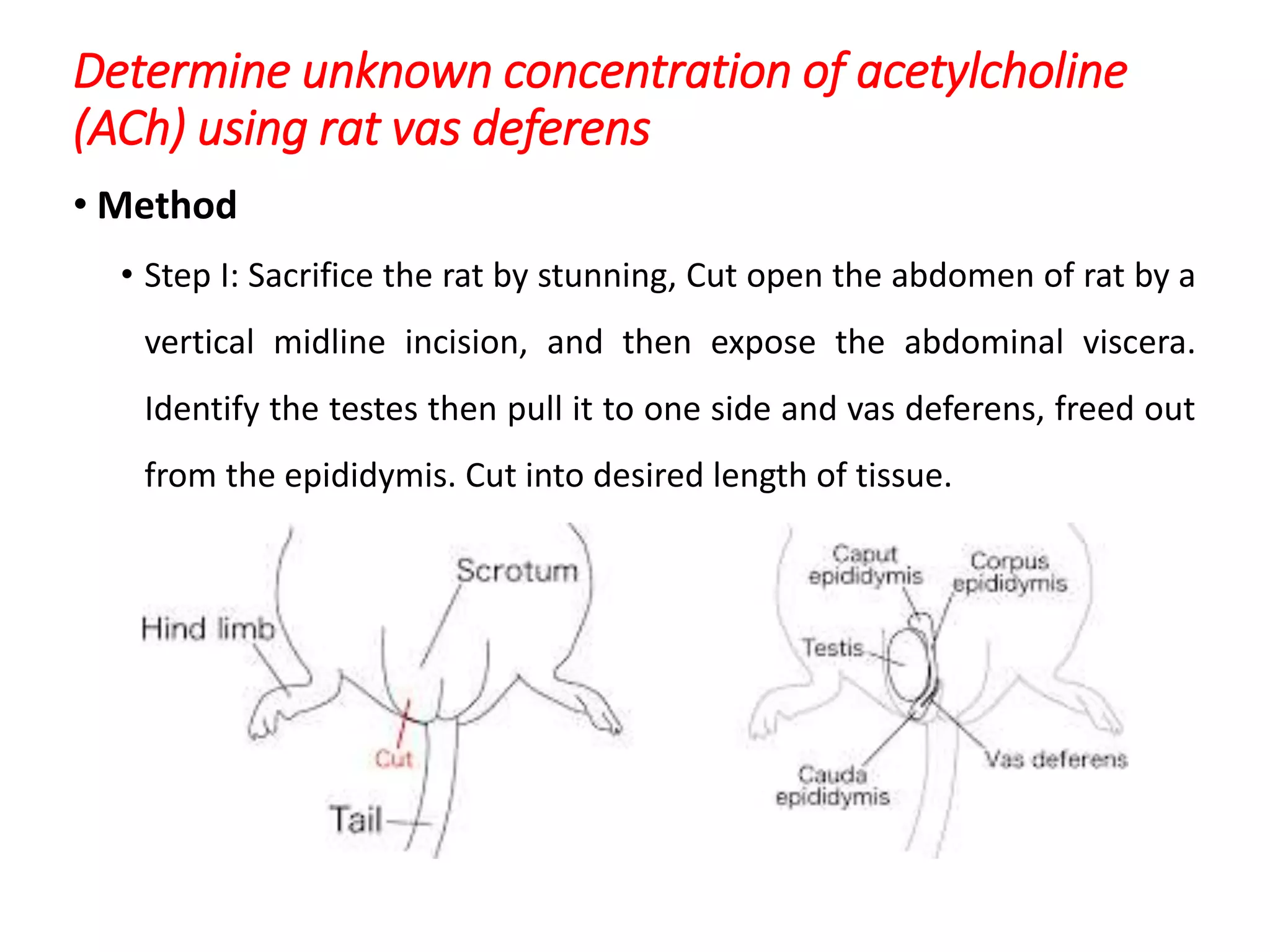 Acetylcholine bioassay | PPTX