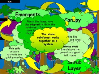 L3 adaptation ap | PPTX