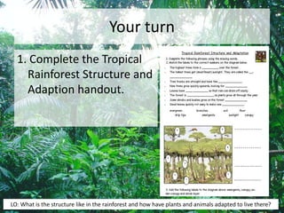 L3 adaptation ap | PPTX