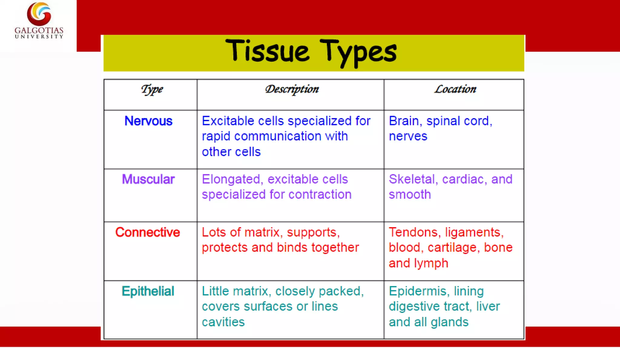 Epithelial tissue Notes | PPT | Free Download