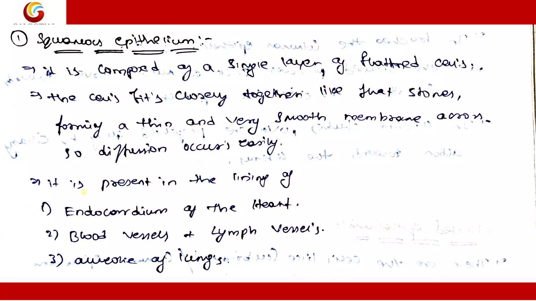 Epithelial tissue Notes | PDF
