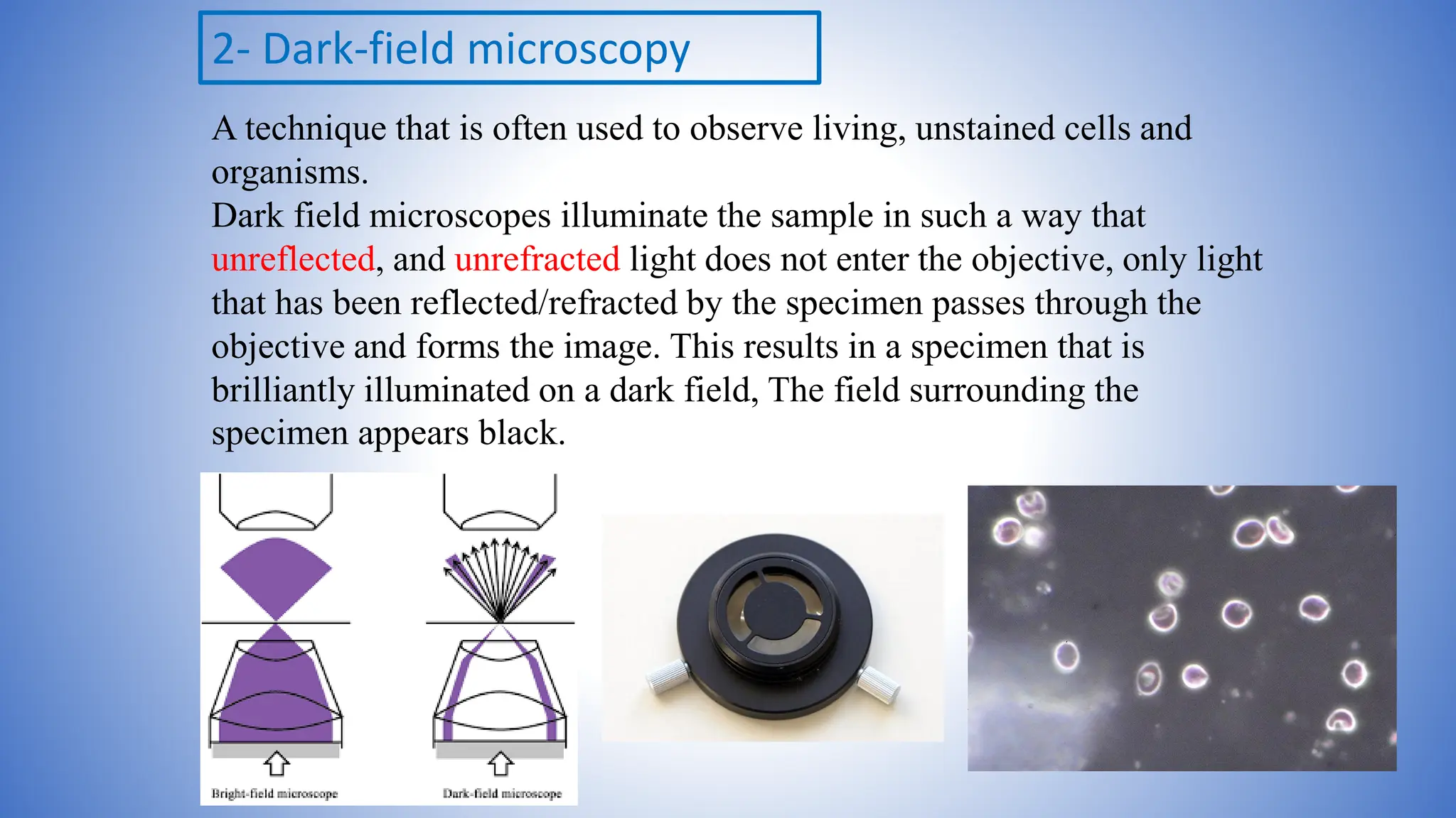 L3_BIOLOGY I-BIOL 231-microscopy and resolution.pdf