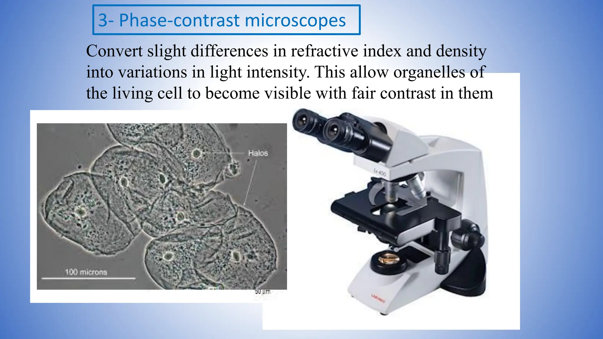 L3_BIOLOGY I-BIOL 231-microscopy and resolution.pdf