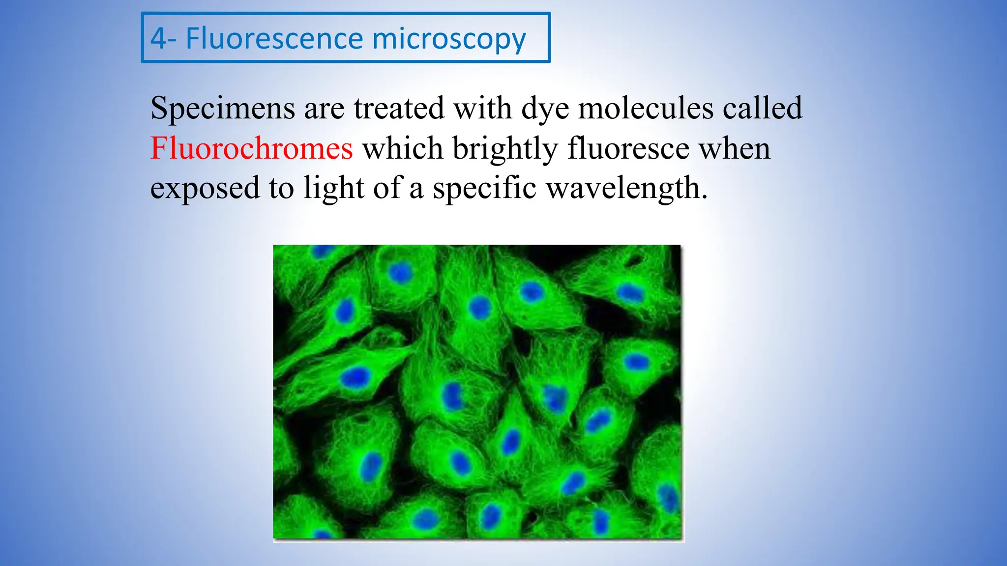 L3_BIOLOGY I-BIOL 231-microscopy and resolution.pdf