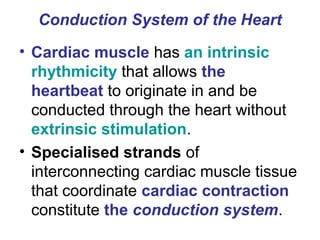 L3 conduction system of the heart | PPT | Heart and Cardiovascular ...
