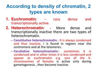 L3 DNA organization,_ Octamer and .pptx