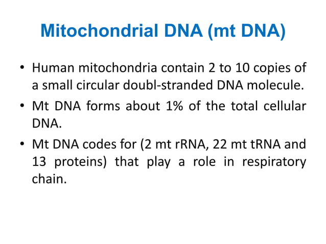 L3 DNA organization,_ Octamer and .pptx