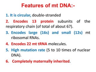 L3 DNA organization,_ Octamer and .pptx