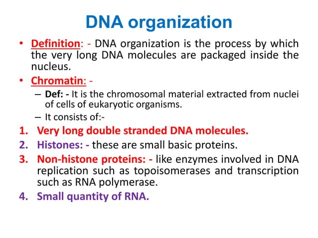 L3 DNA organization,_ Octamer and .pptx