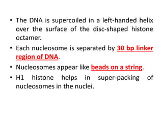 L3 DNA organization,_ Octamer and .pptx
