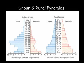 L3 Dtm & Pyramids | PPT
