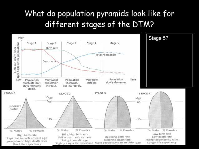 L3 Dtm & Pyramids | PPT