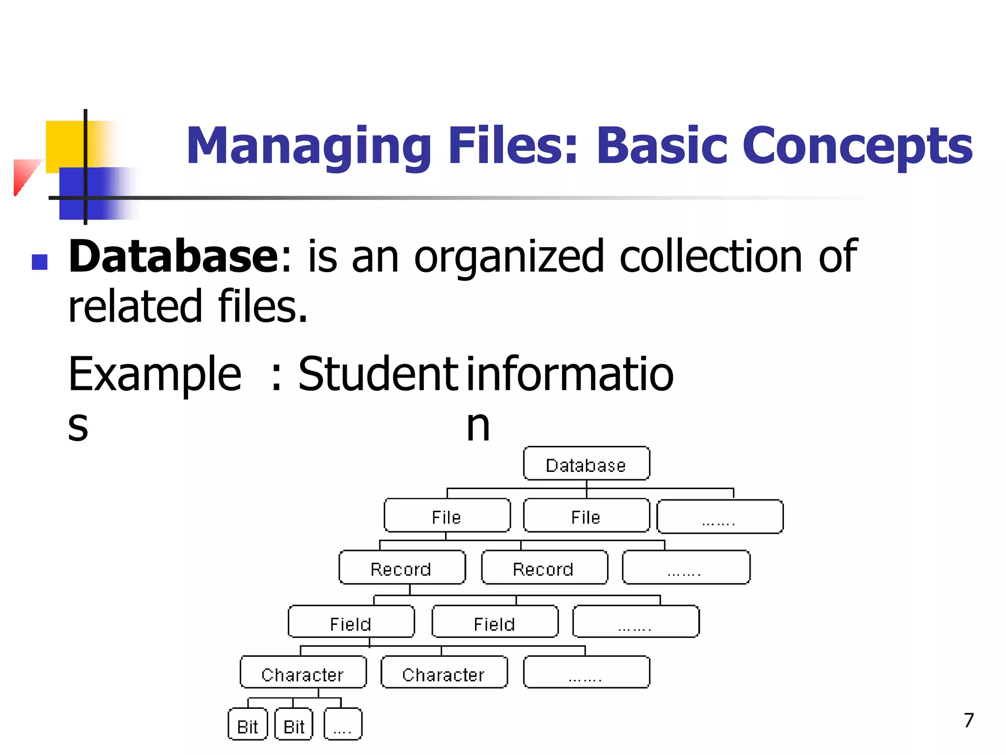 L3_Electronic Data Processing.pptx