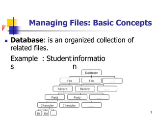 L3_Electronic Data Processing.pptx