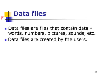 L3_Electronic Data Processing.pptx