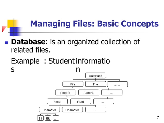 L3_Electronic Data Processing.pptx