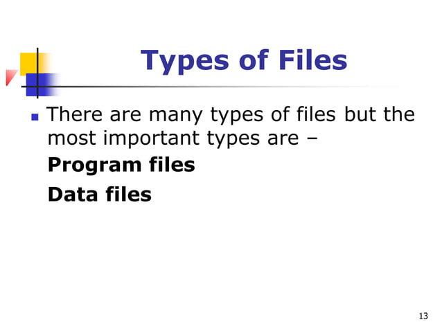 L3_Electronic Data Processing.pptx