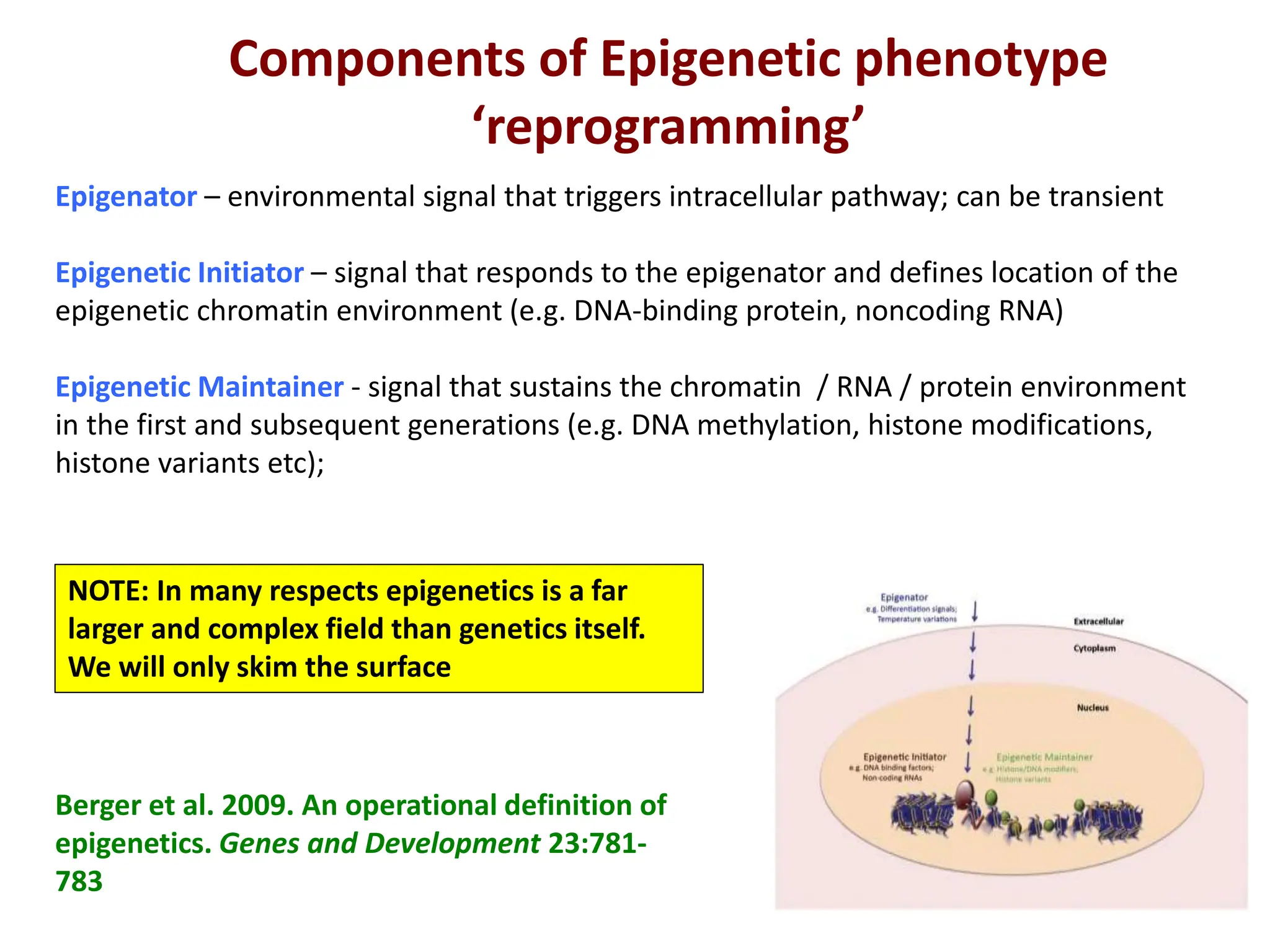 L3genetics_epigenetics_genomcs_2024.pptx