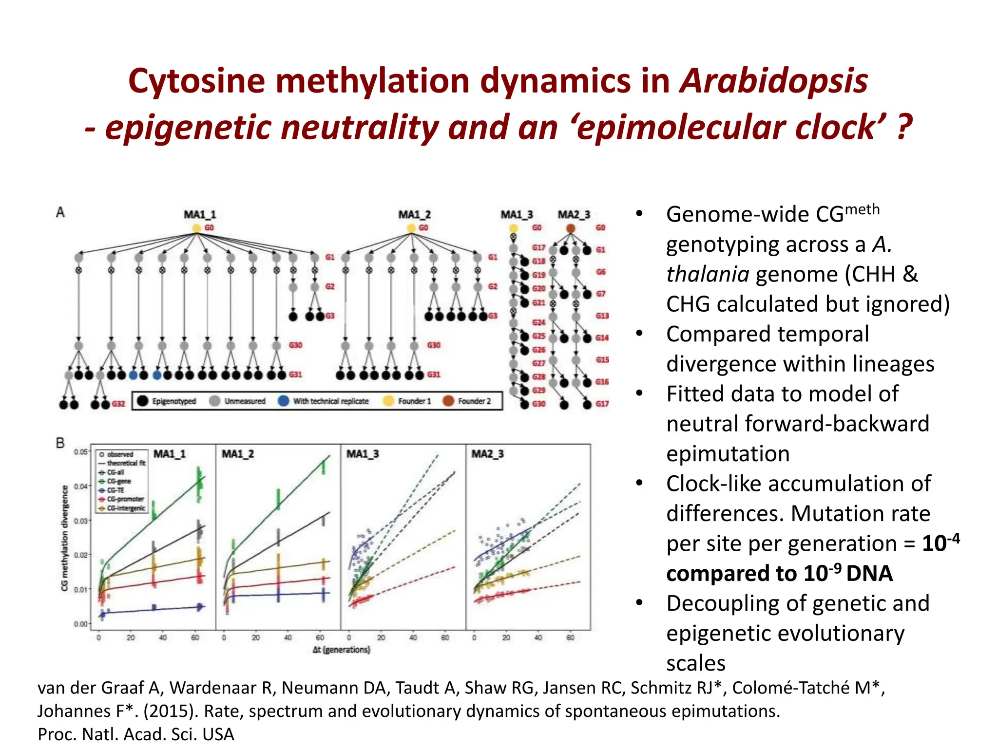 L3genetics_epigenetics_genomcs_2024.pptx