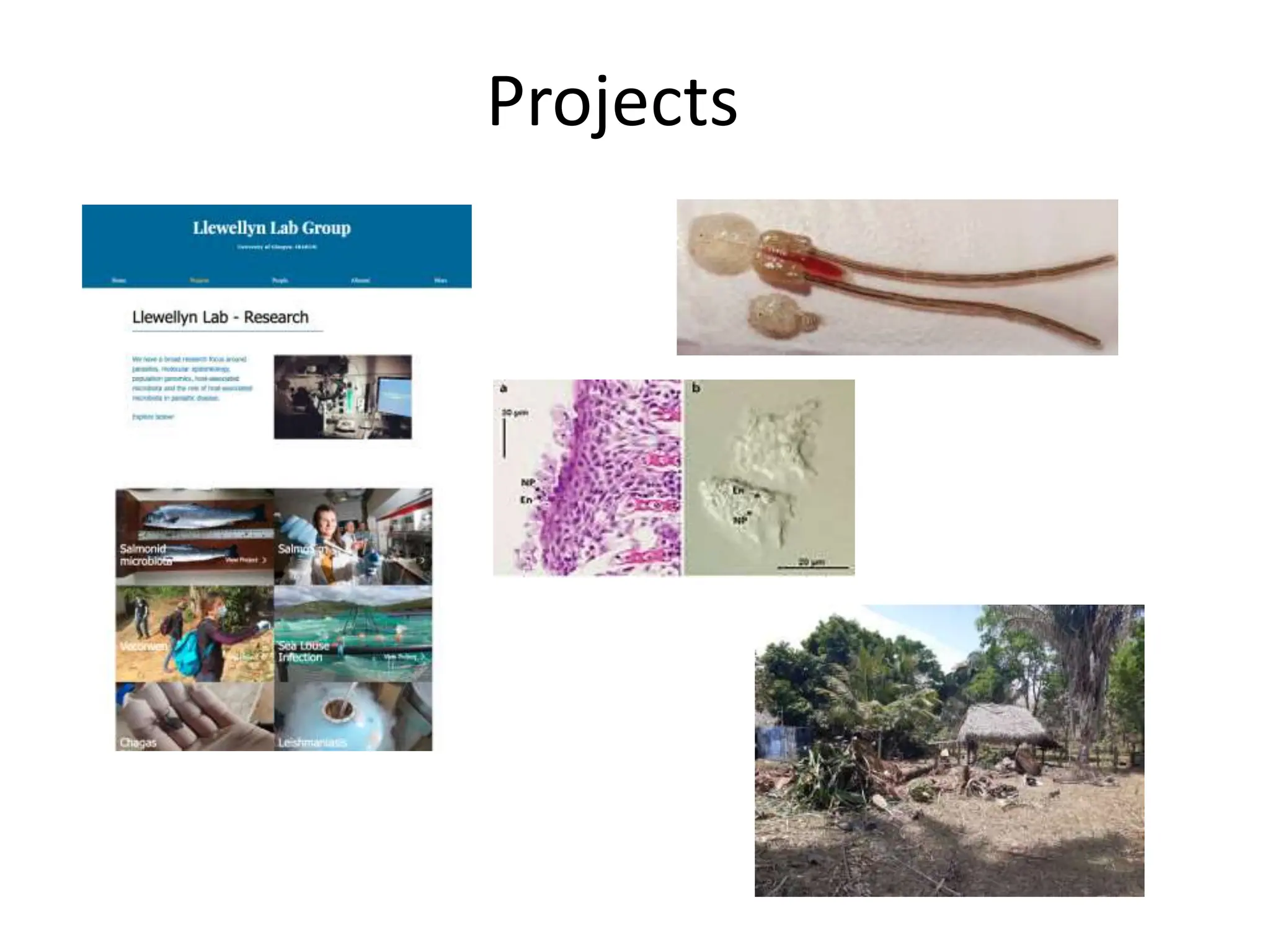 L3genetics_epigenetics_genomcs_2024.pptx