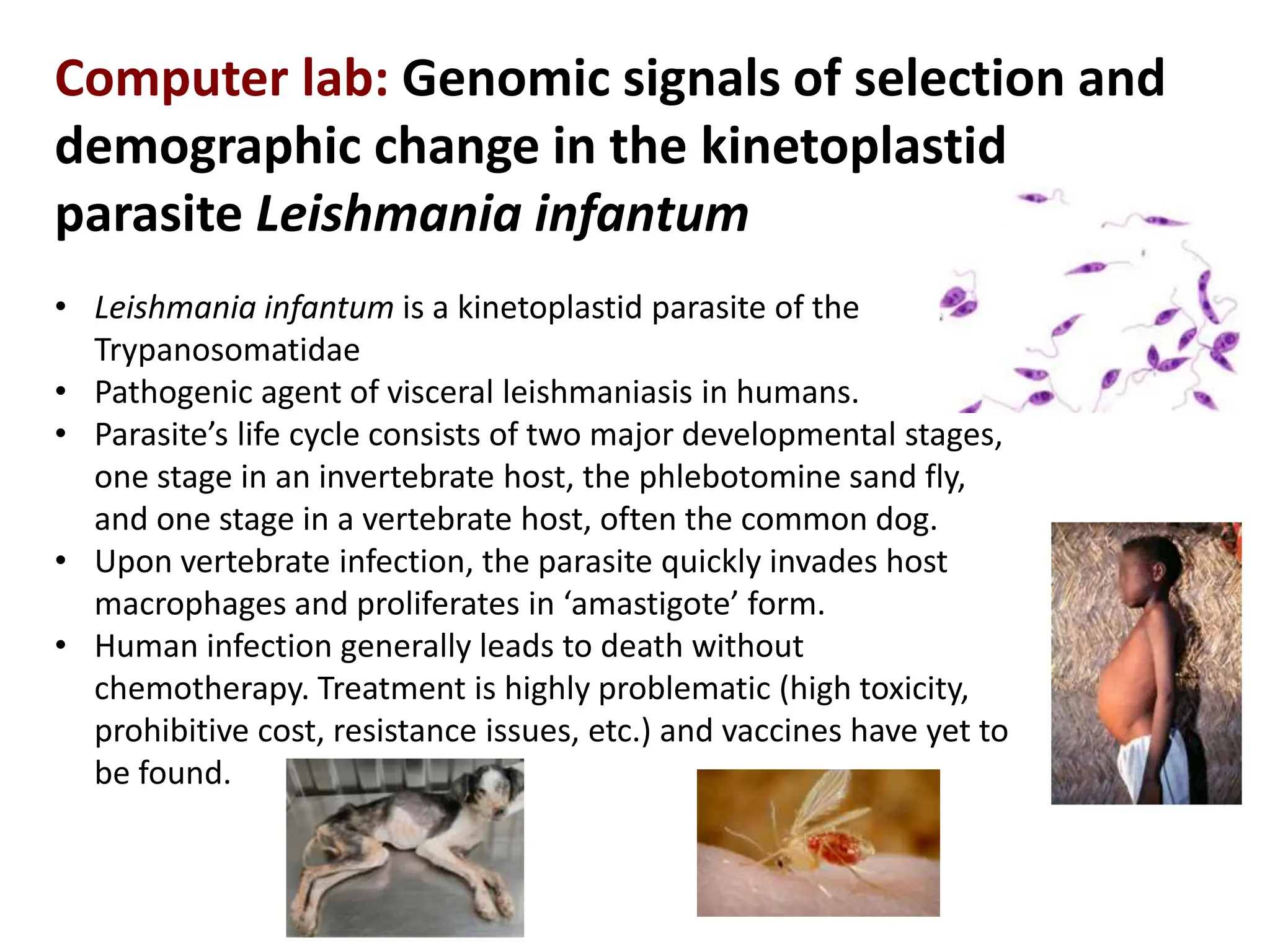 L3genetics_epigenetics_genomcs_2024.pptx