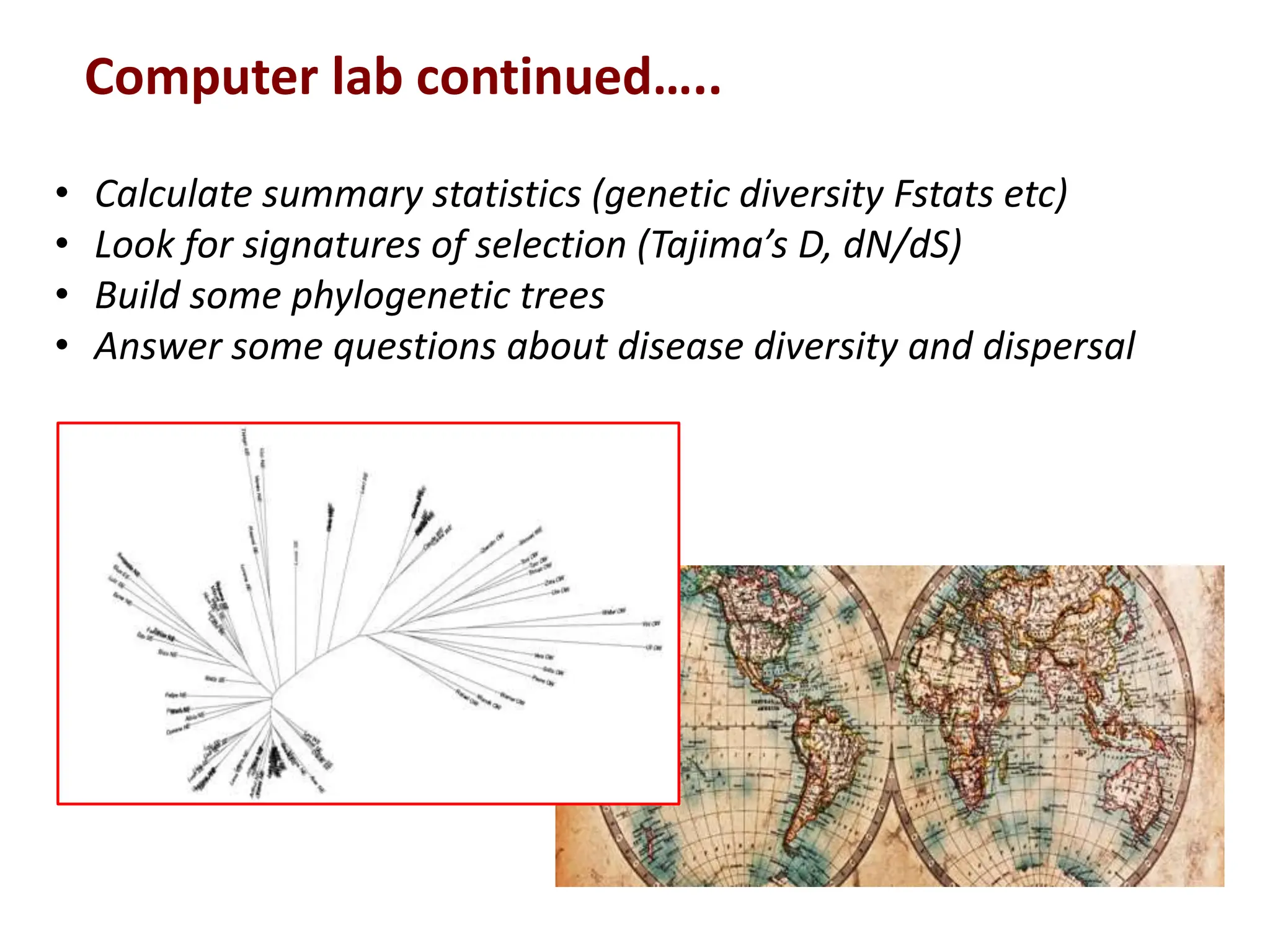 L3genetics_epigenetics_genomcs_2024.pptx