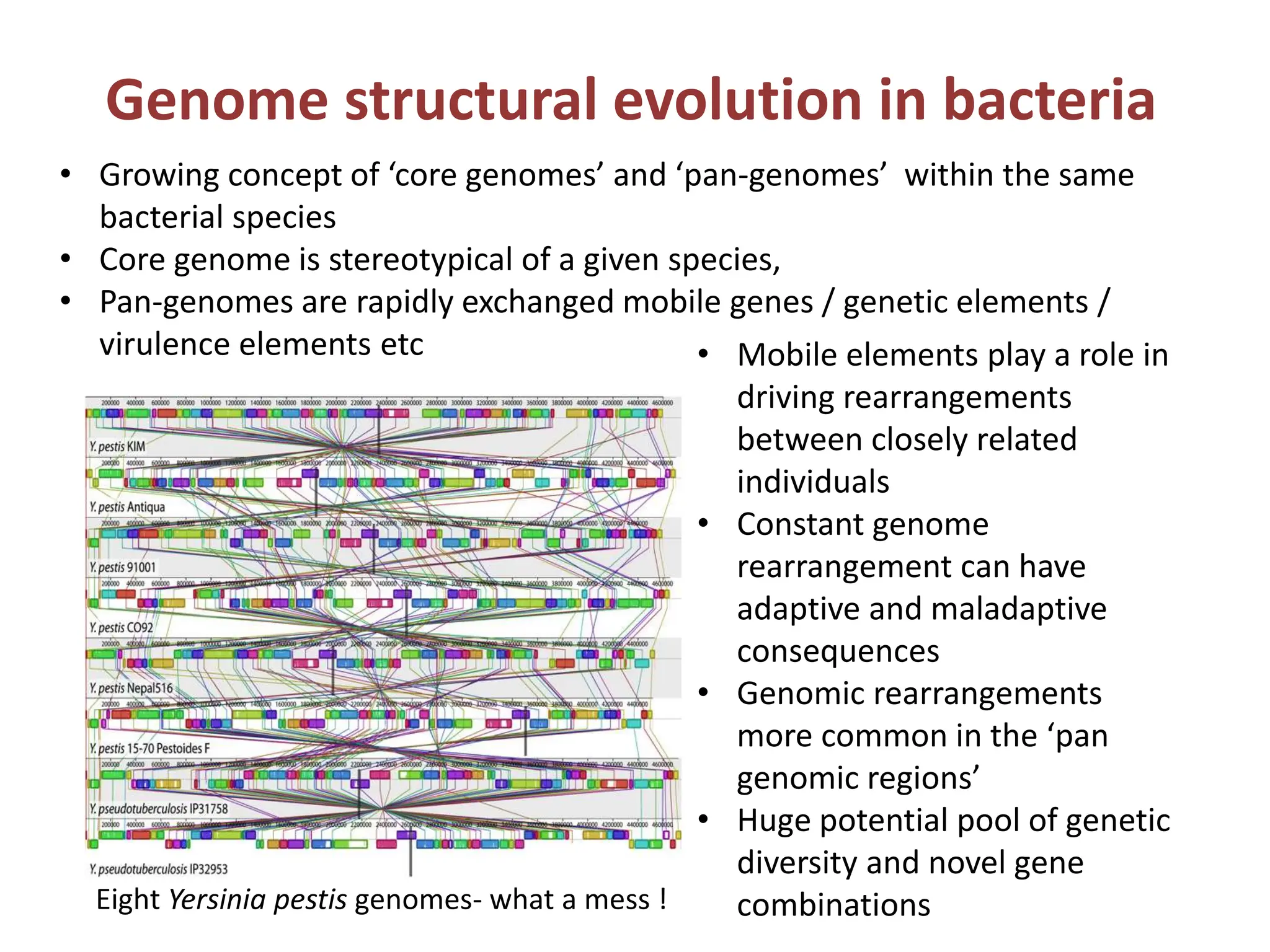 L3genetics_epigenetics_genomcs_2024.pptx