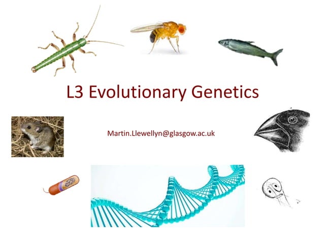 L3genetics_epigenetics_genomcs_2024.pptx | Genetics | Science