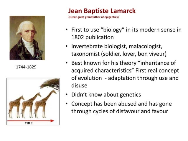 L3genetics_epigenetics_genomcs_2024.pptx | Genetics | Science