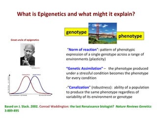 L3genetics_epigenetics_genomcs_2024.pptx