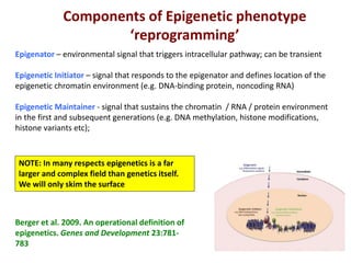 L3genetics_epigenetics_genomcs_2024.pptx