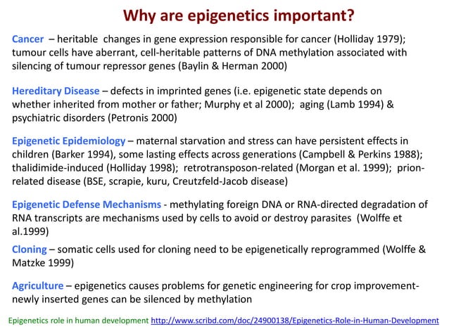 L3genetics_epigenetics_genomcs_2024.pptx | Genetics | Science