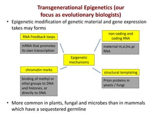 L3genetics_epigenetics_genomcs_2024.pptx