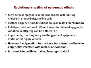 L3genetics_epigenetics_genomcs_2024.pptx