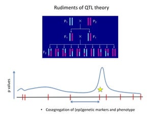 L3genetics_epigenetics_genomcs_2024.pptx