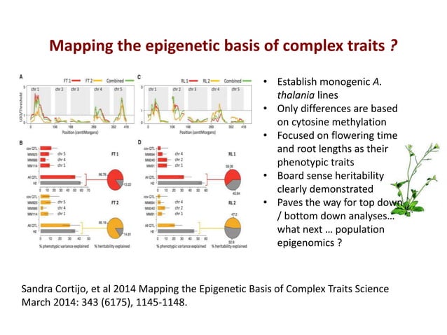 L3genetics_epigenetics_genomcs_2024.pptx | Genetics | Science