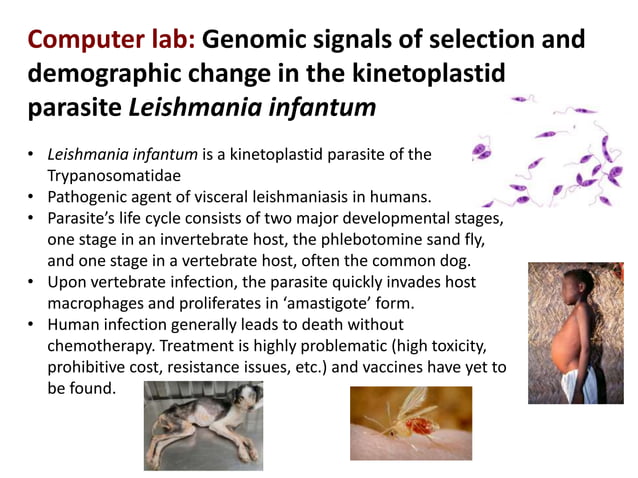 L3genetics_epigenetics_genomcs_2024.pptx | Genetics | Science