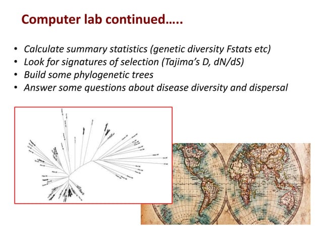 L3genetics_epigenetics_genomcs_2024.pptx | Genetics | Science