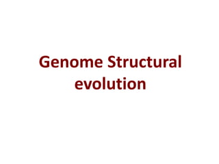 L3genetics_epigenetics_genomcs_2024.pptx