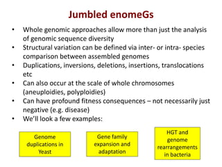 L3genetics_epigenetics_genomcs_2024.pptx