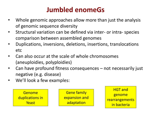 L3genetics_epigenetics_genomcs_2024.pptx | Genetics | Science