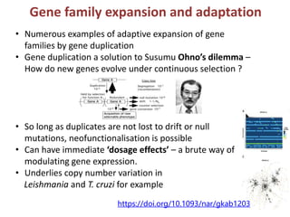 L3genetics_epigenetics_genomcs_2024.pptx