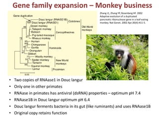 L3genetics_epigenetics_genomcs_2024.pptx