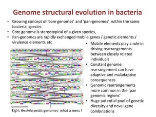 L3genetics_epigenetics_genomcs_2024.pptx