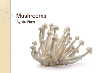 Mushrooms Sylvia Plath | PPTX