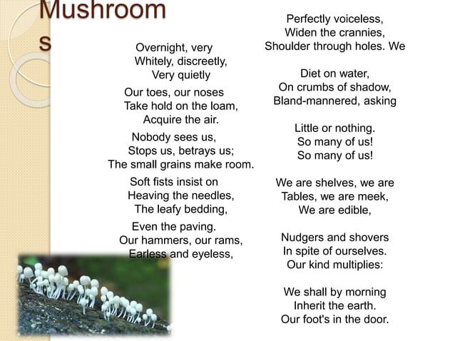 Mushrooms Sylvia Plath | PPT