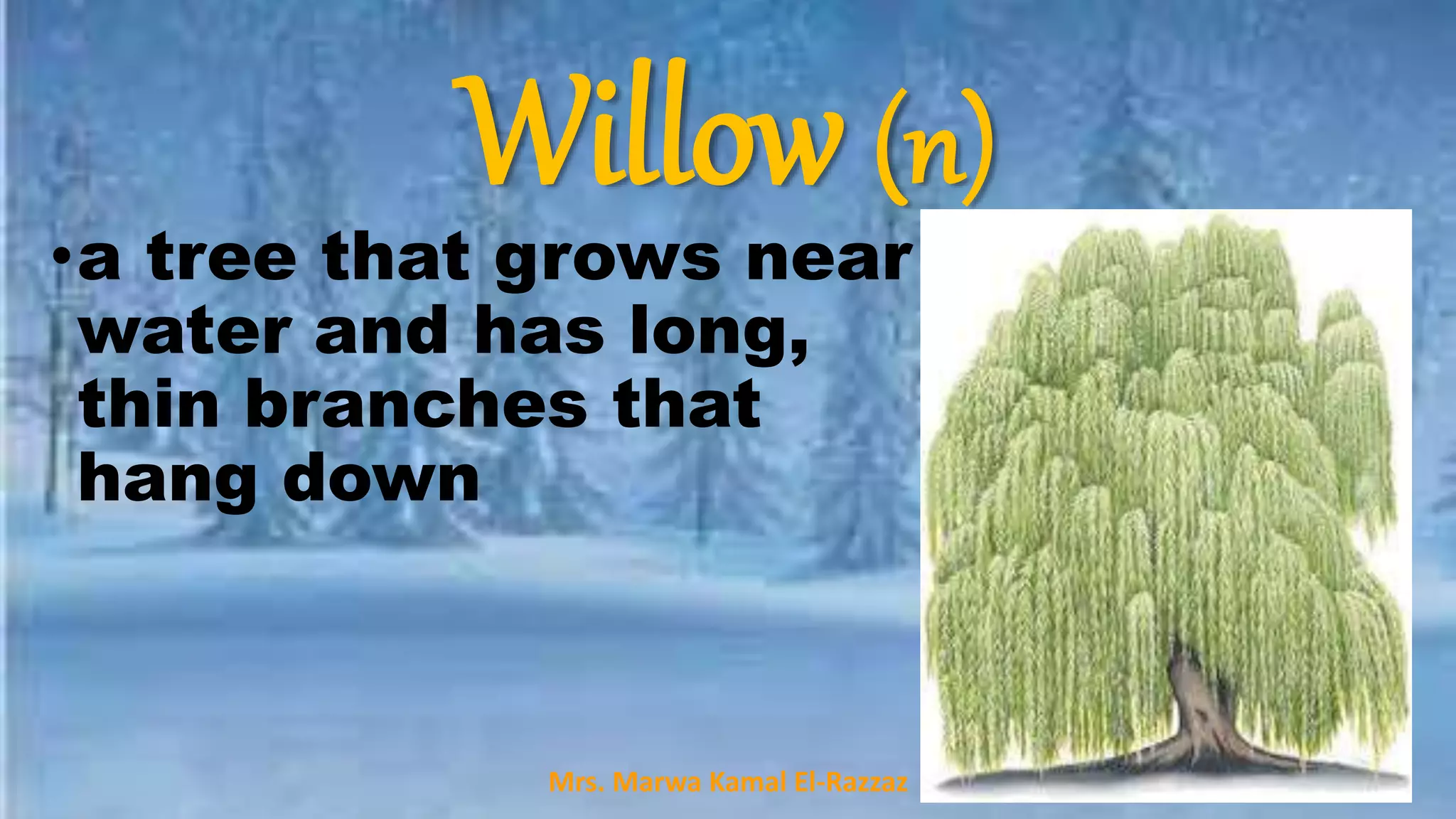 L3 long vowel digraphs | PPTX