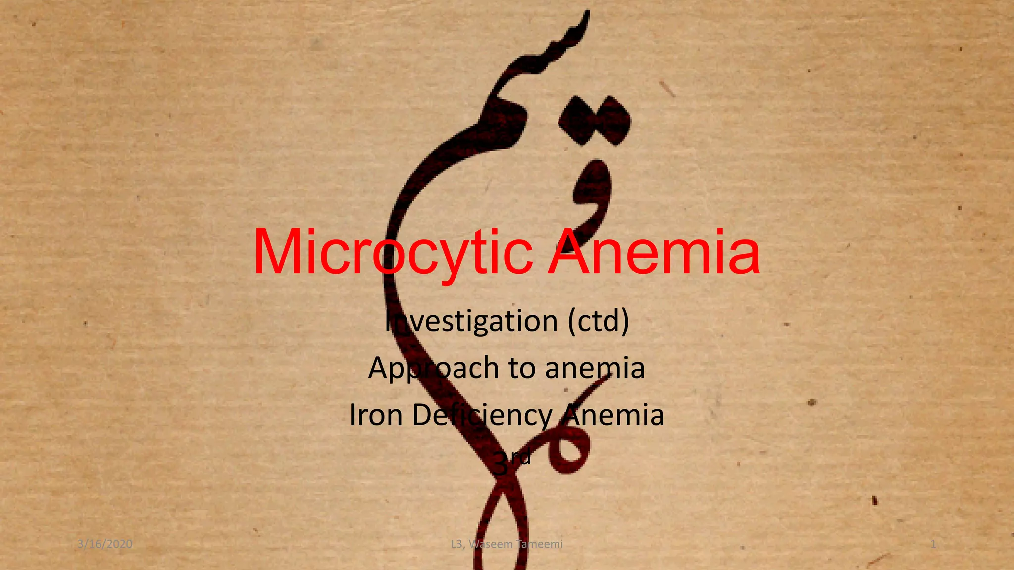 L3 microcytic anemia student | PDF