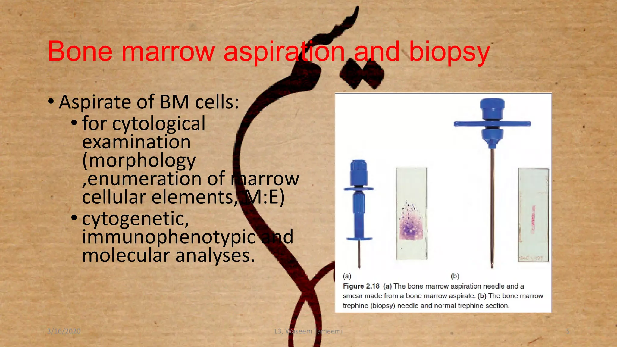 L3 microcytic anemia student | PDF