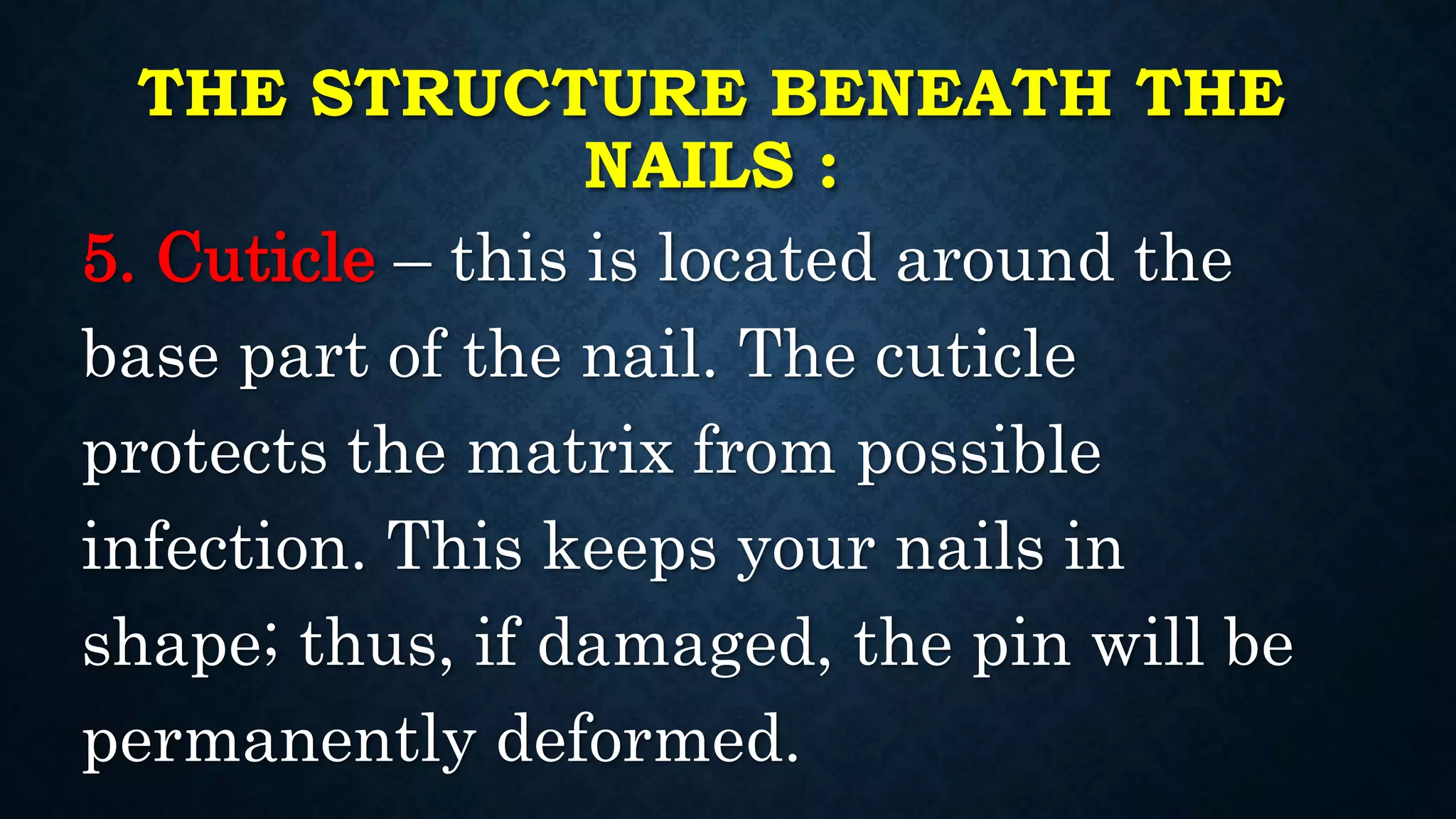 L3 NAIL STRUCTURE.pptx